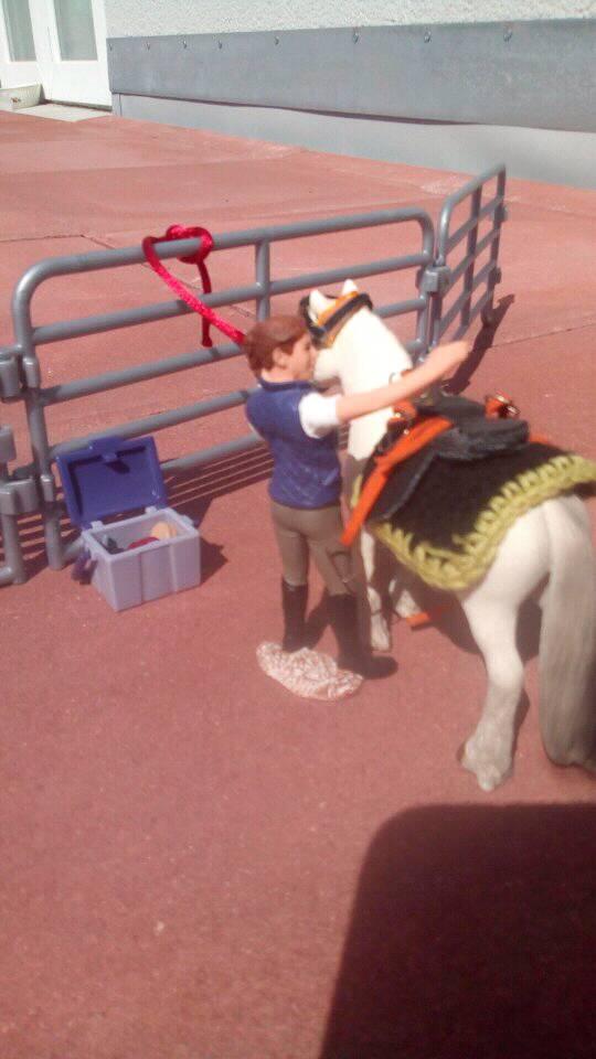 Vybaveni-pro-schleich-rucni-vyroba